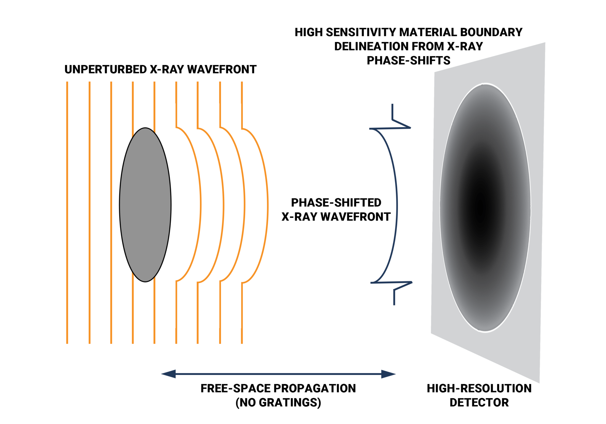 3D X-ray Microscope with Phase Contrast | inCiTe™