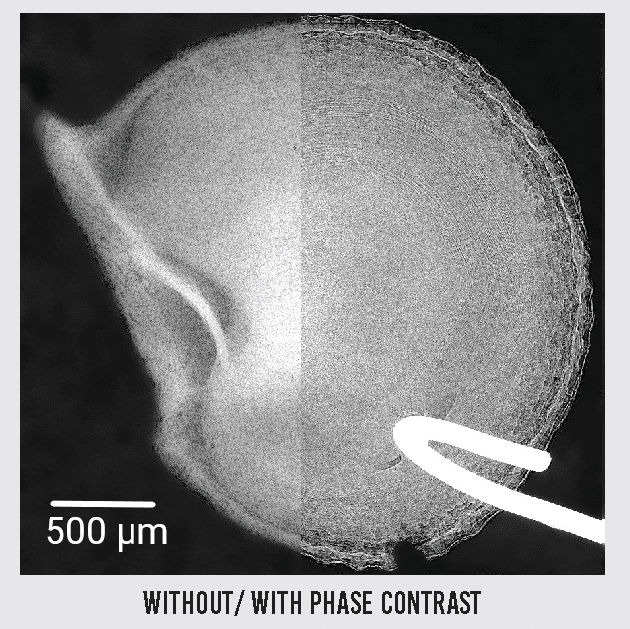 Phase Contrast & Spectral Imaging in Micro-CT | KA Imaging